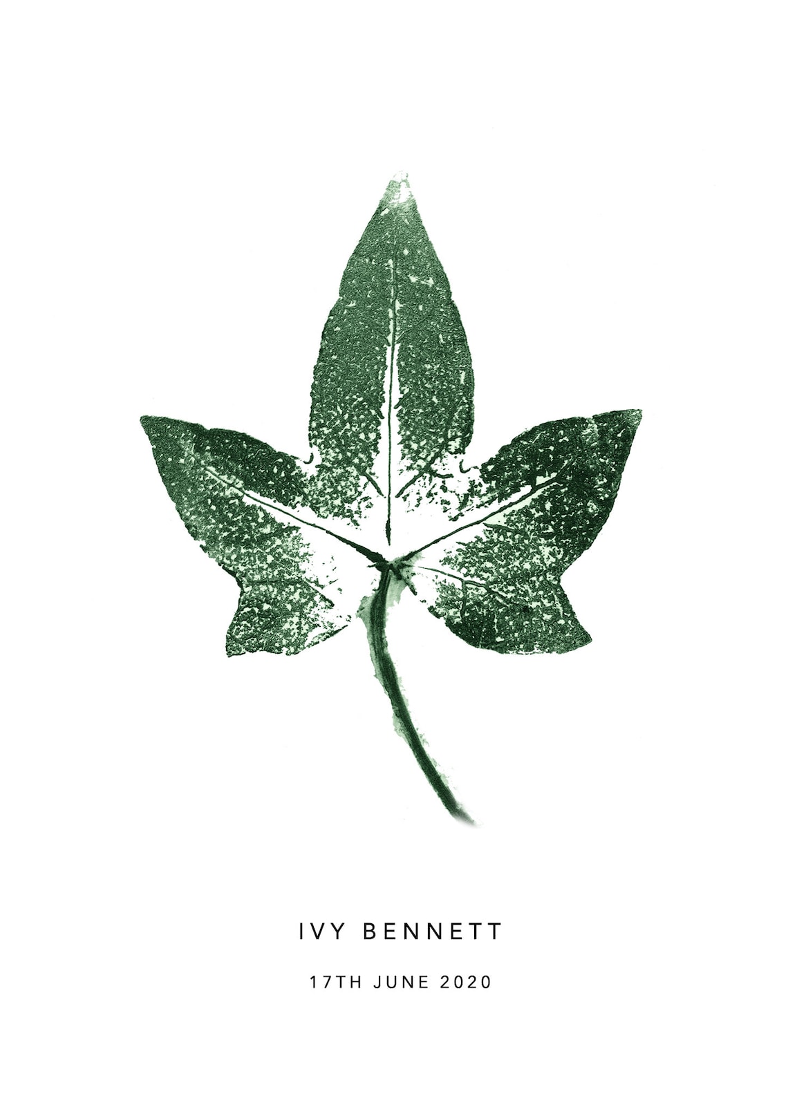 Personalised Ivy Leaf Print Ivy Leaf Pressed Plant Print - Etsy