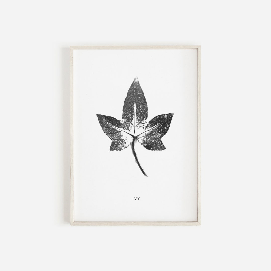 Ivy Leaf Art Print Pressed Flower Leaf Print Monochrome Botanical Print ...