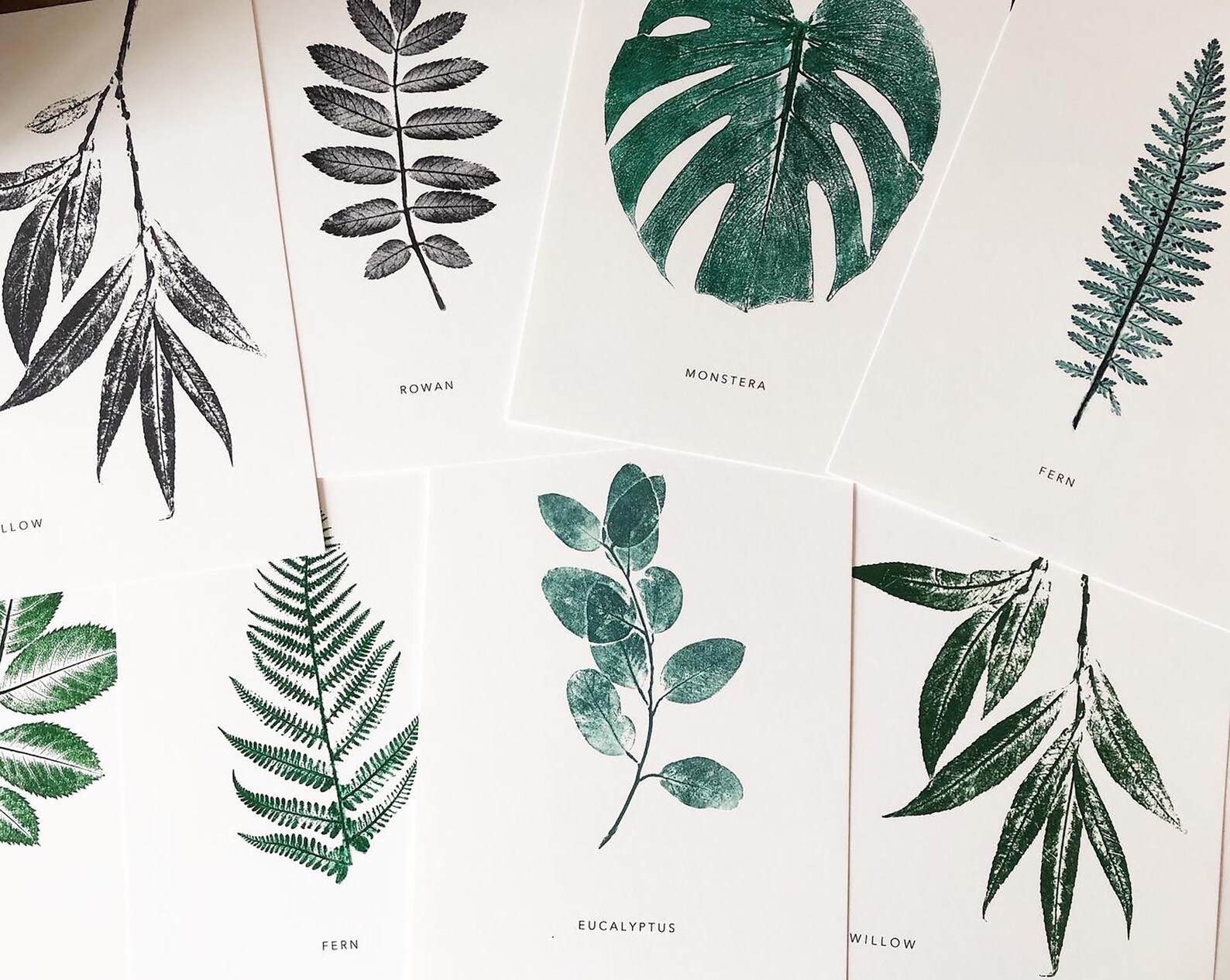 Rowan Tree Leaf Art Print Green Rowan Pressed Leaf Print - Etsy