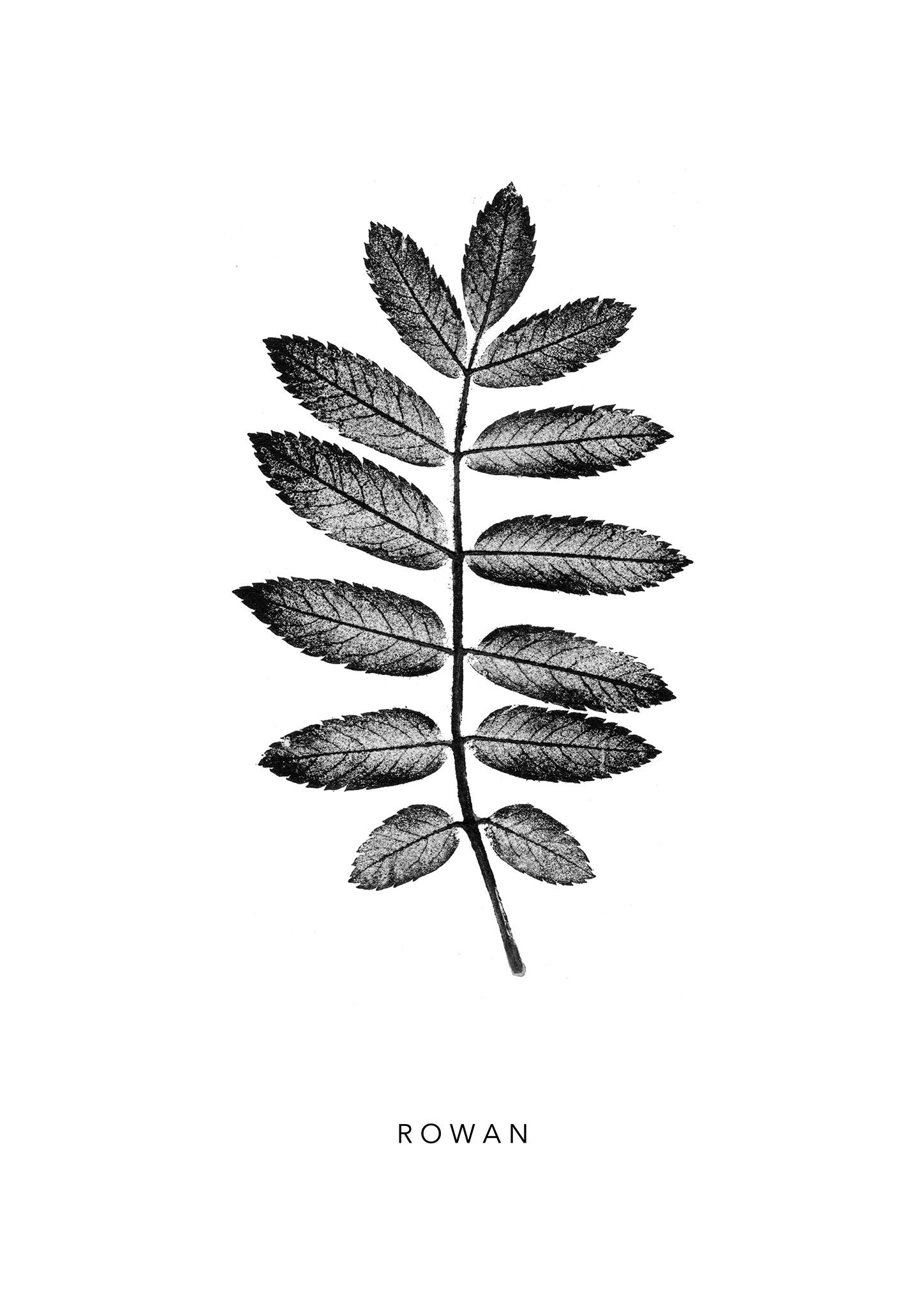 Rowan Leaf Tattoos