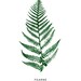 Personalised Fern Print | Fern Leaf Monoprint | Custom Name Print ...