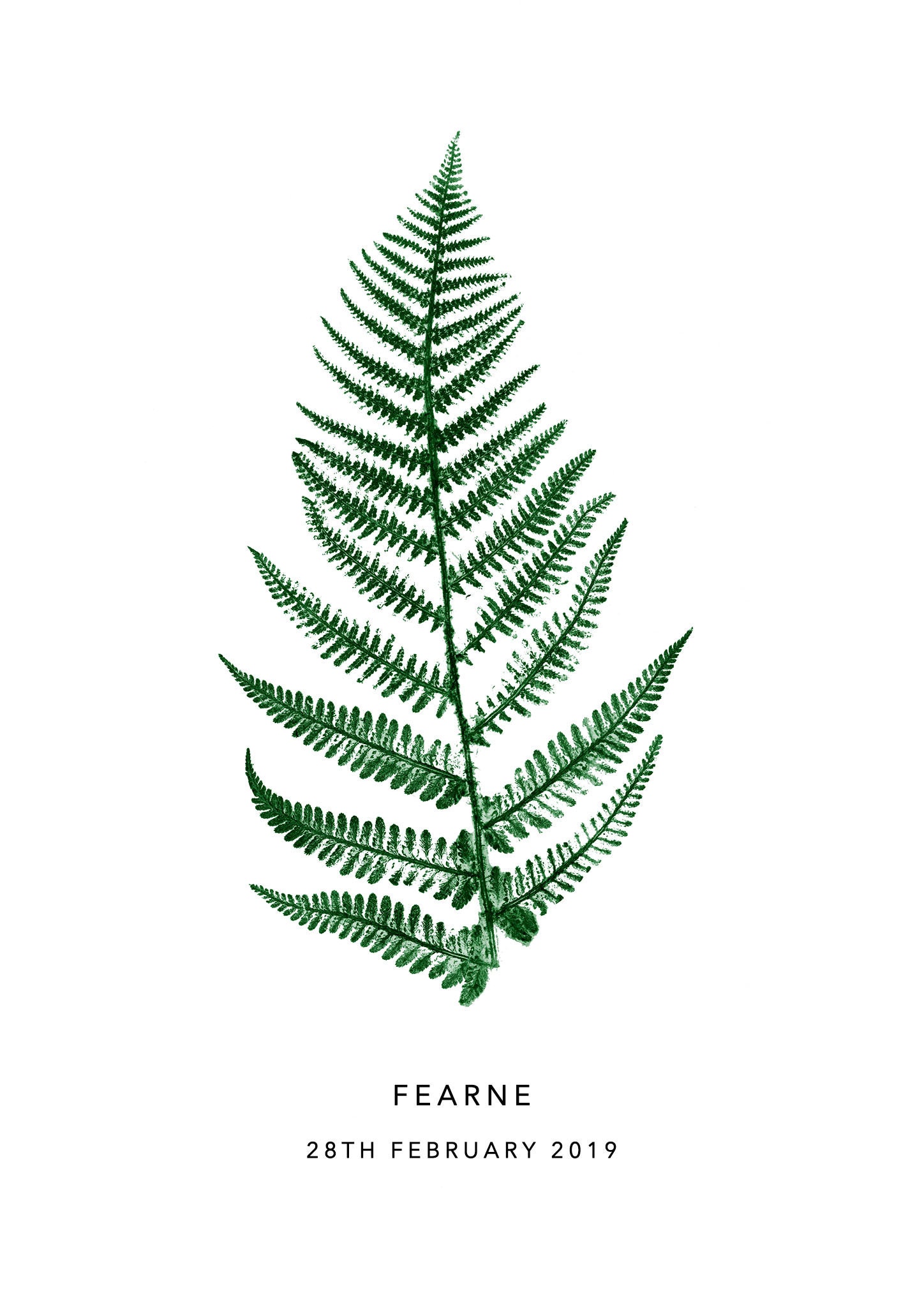Personalised Fern Print | Fern Leaf Monoprint | Custom Name Print ...