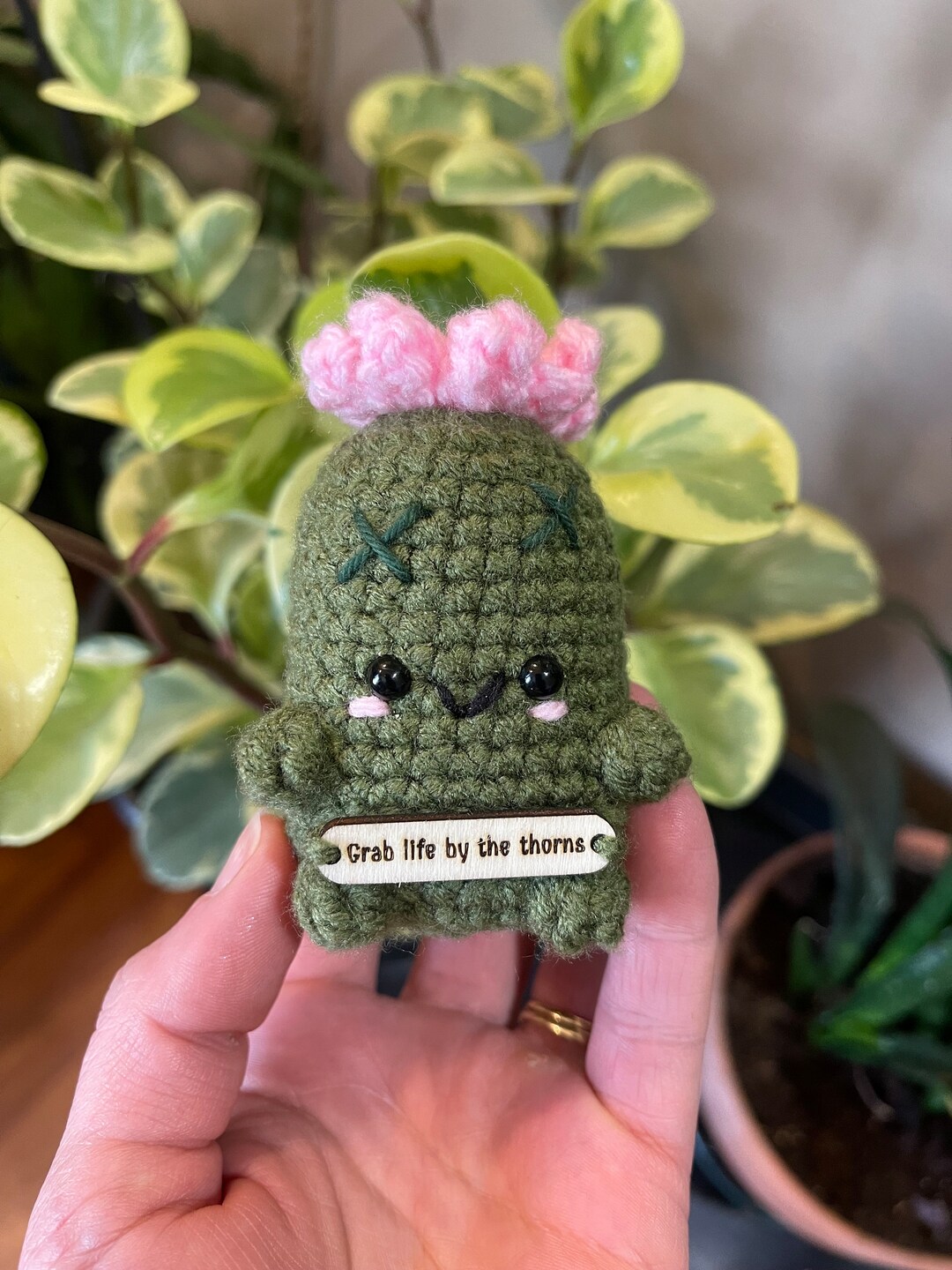 Emotional Support Cactus **grab Life by the Thorns** Cactus, Emotional ...