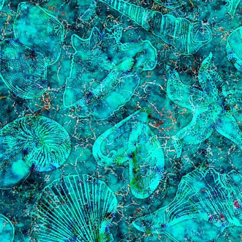 Turquoise Seashells - Etsy