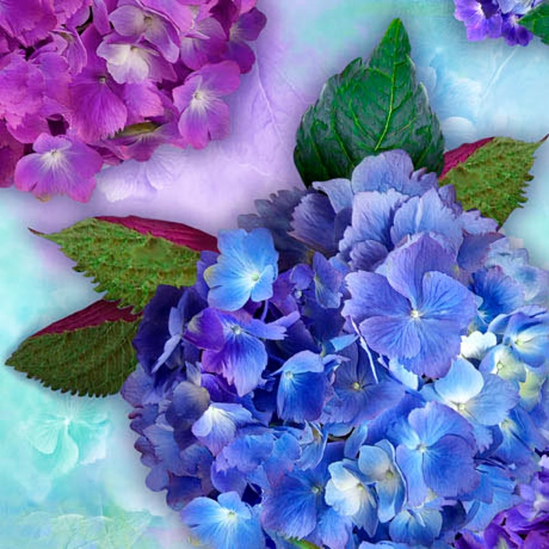 Hydrangea Fabric - Etsy
