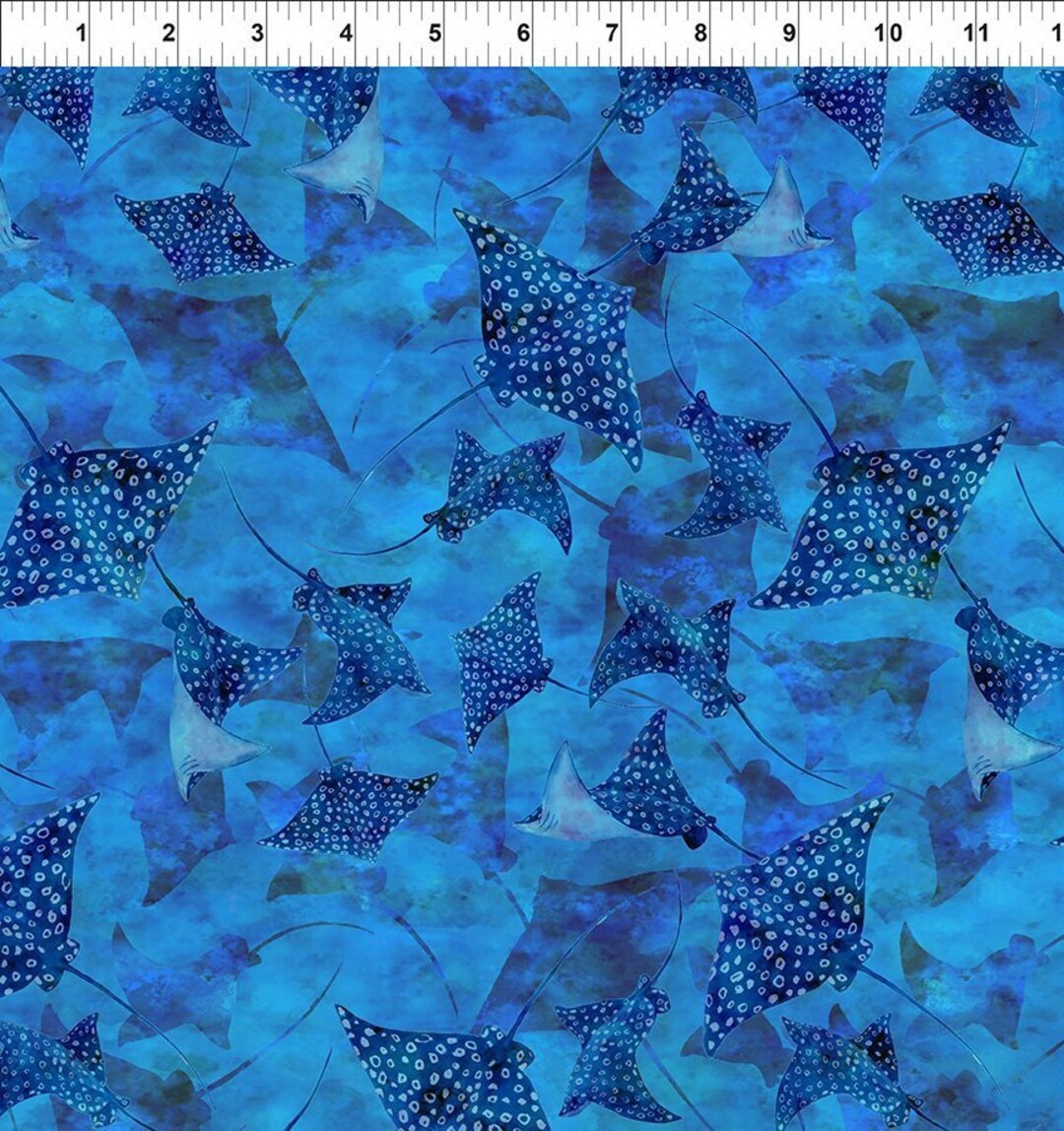 Calypso III - Blue Stingrays - by Jason Yenter for in the Beginning ...