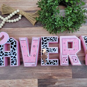 Pink Rodeo 3D Name Letters | Paper Letters (no Wood) | Western Rodeo ...