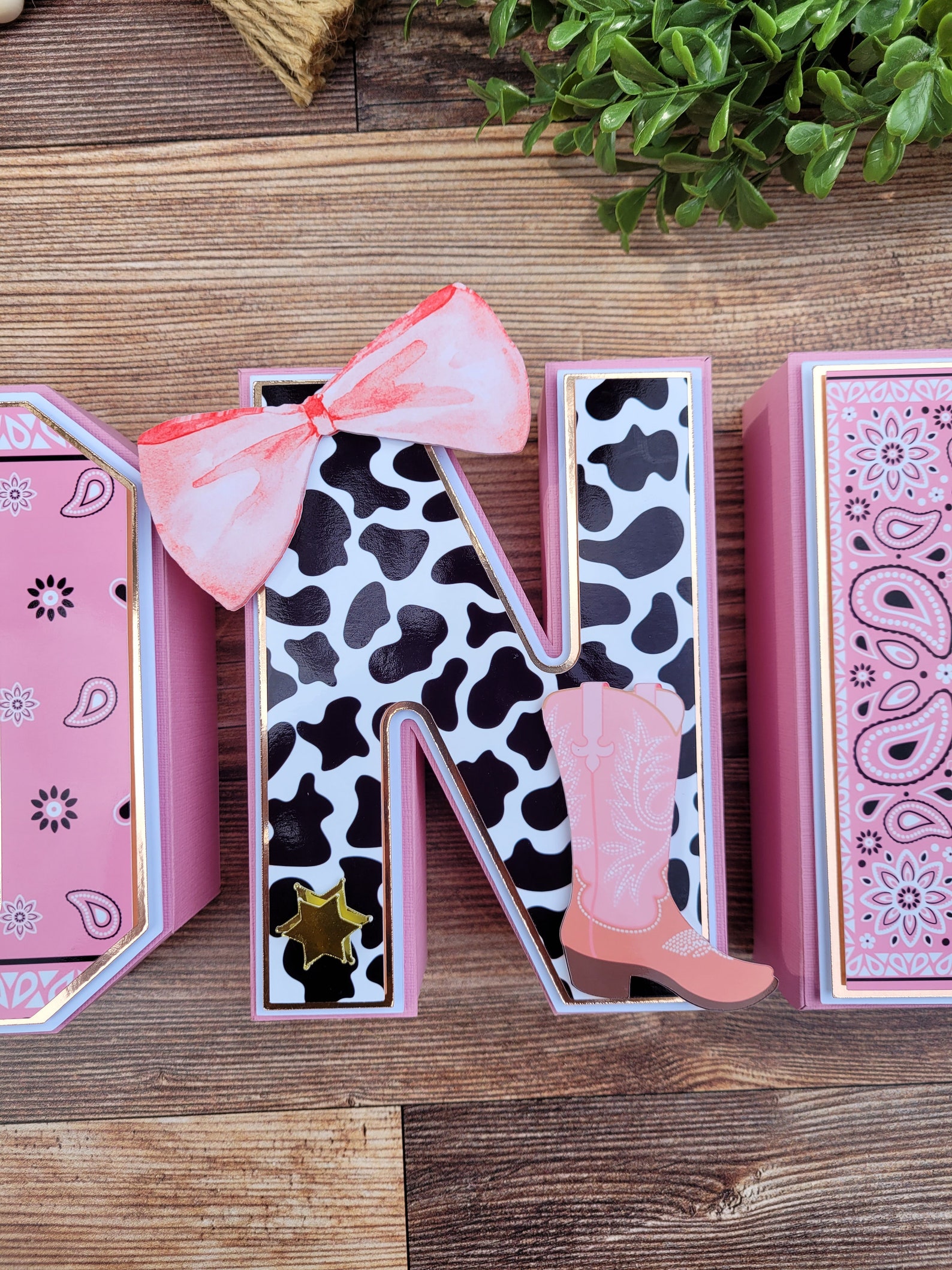 My 1st Rodeo Party Decor Pink Rodeo 3D Letters Cowgirl - Etsy