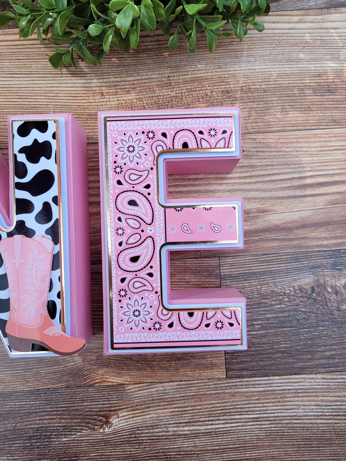 My 1st Rodeo Party Decor Pink Rodeo 3D Letters Cowgirl - Etsy