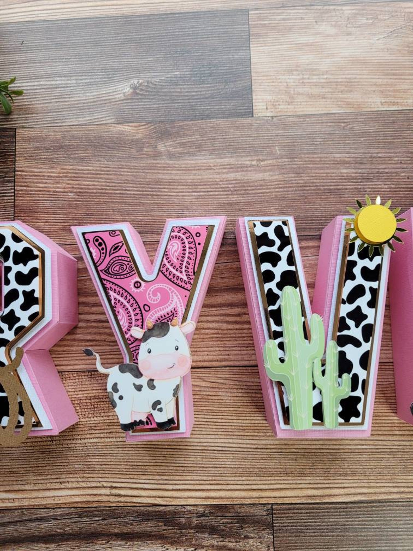 Rodeo 3D Name Paper Letters Rodeo Cowgirl Farm Paper - Etsy