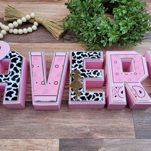 Pink Rodeo 3D Name Letters | Paper Letters (no Wood) | Western Rodeo ...
