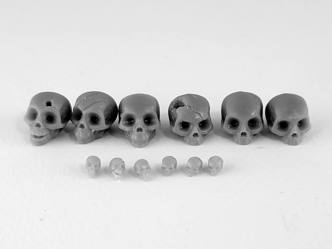 Scatter Skulls! - Etsy
