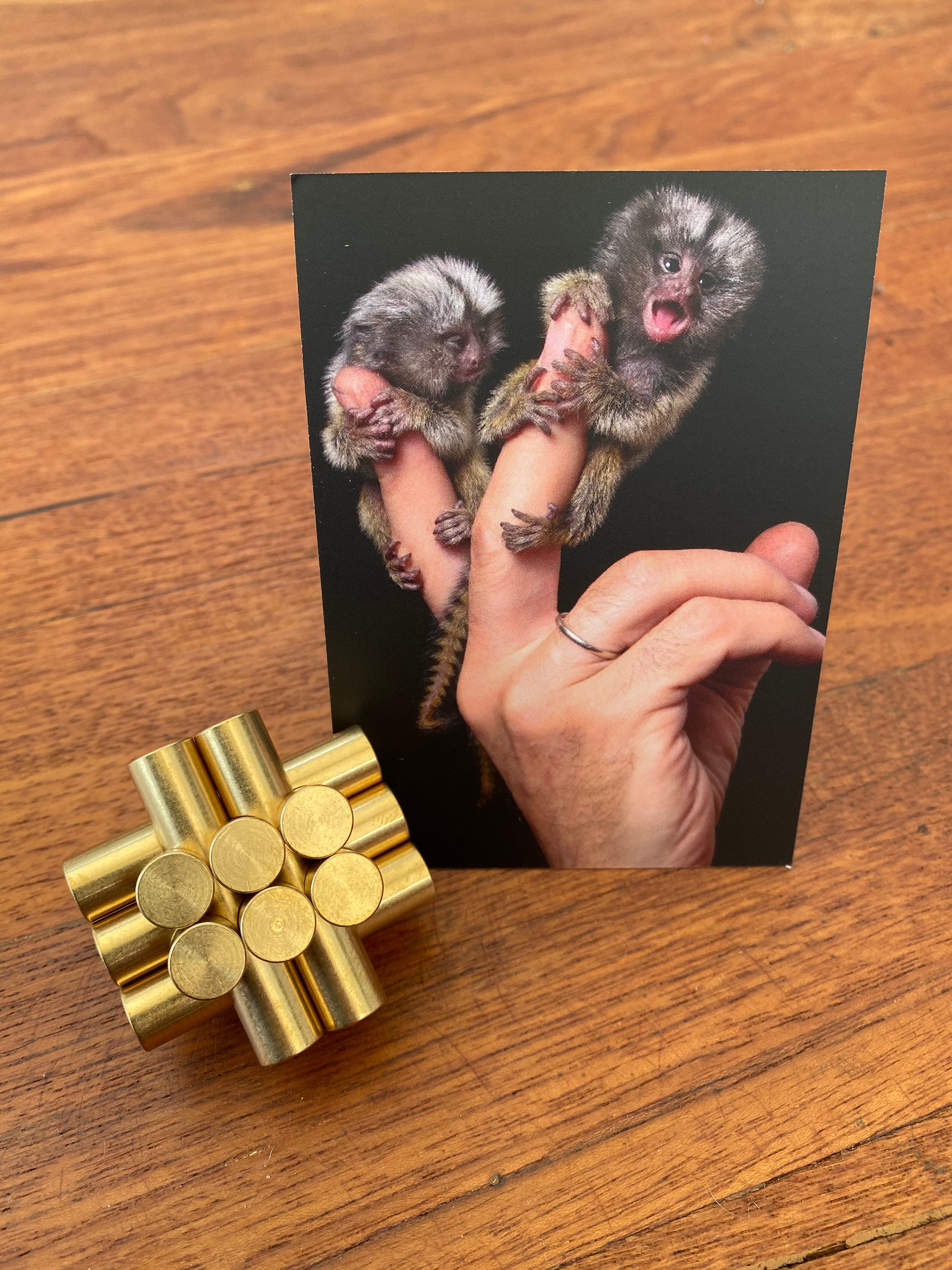 Pygmy and Marmoset Cylindrical Brass Burr Puzzles - Etsy