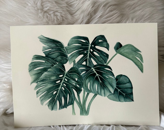 Monstera Painting, Botanical Art, Monstera Watercolour, Indoor Plant ...