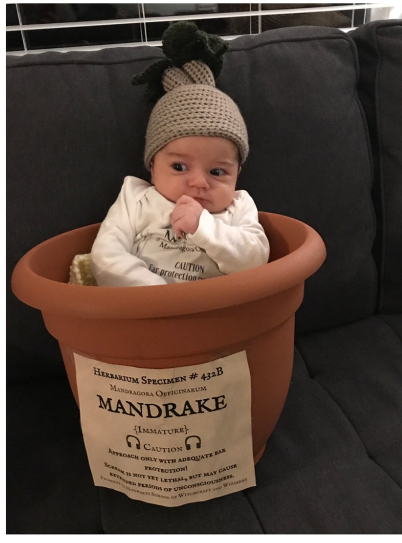 Mandrake Baby Onesie ONLY - Etsy