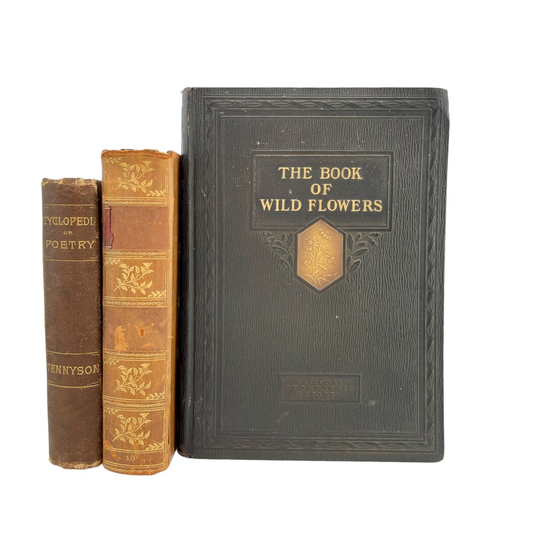 The Book of Wild Flowers, National Geographic Society, 1924, Vintage ...