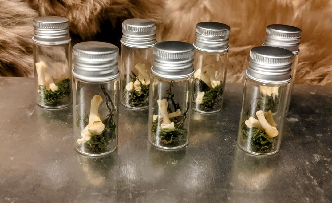 TOE BONES, Chicken Toes, Little Bones, Curiosity, Oddity , Creepy Cute ...