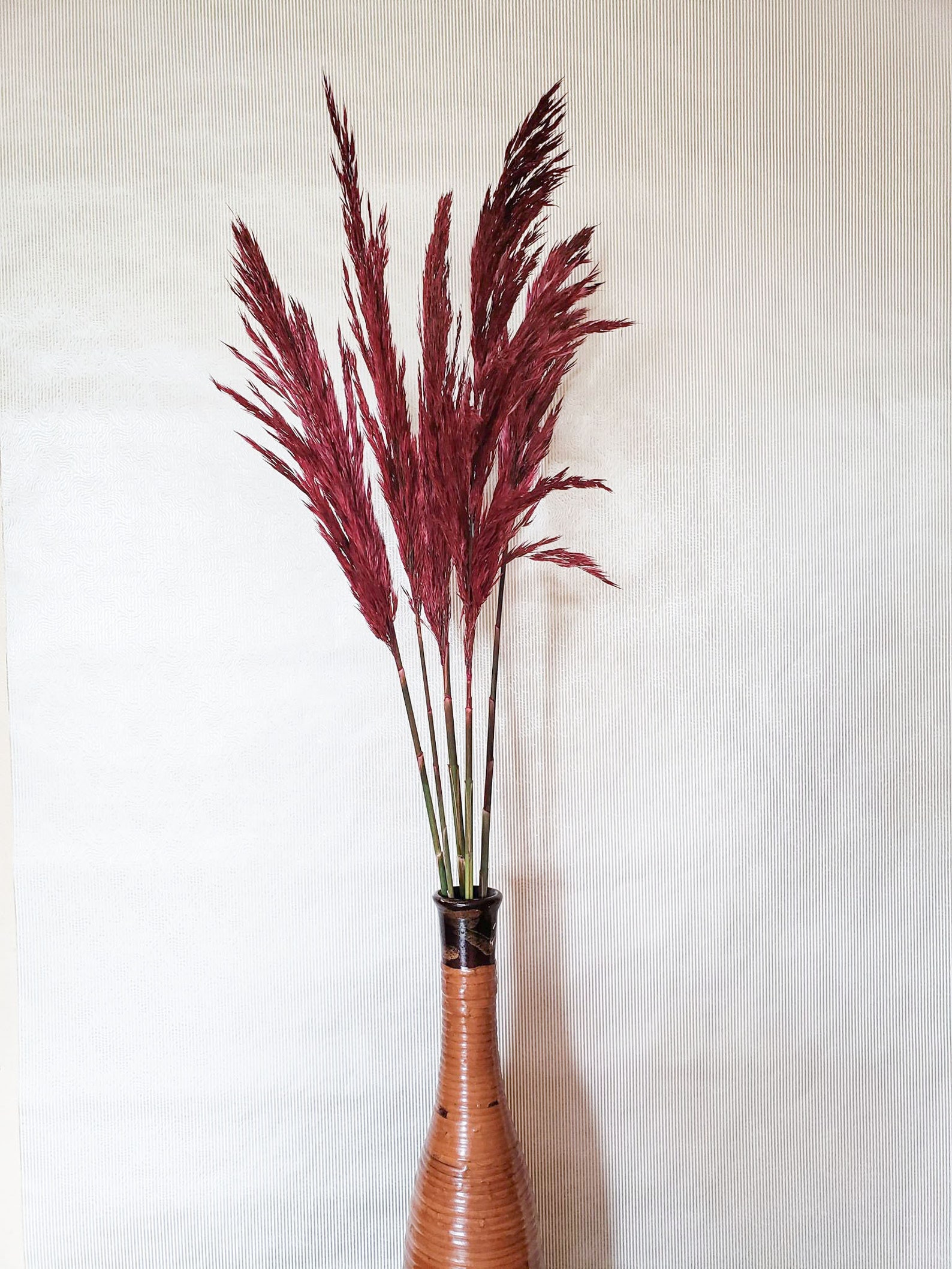 Dried Plume Reed Merlot Natural Botanical Ornamental Grass | Etsy