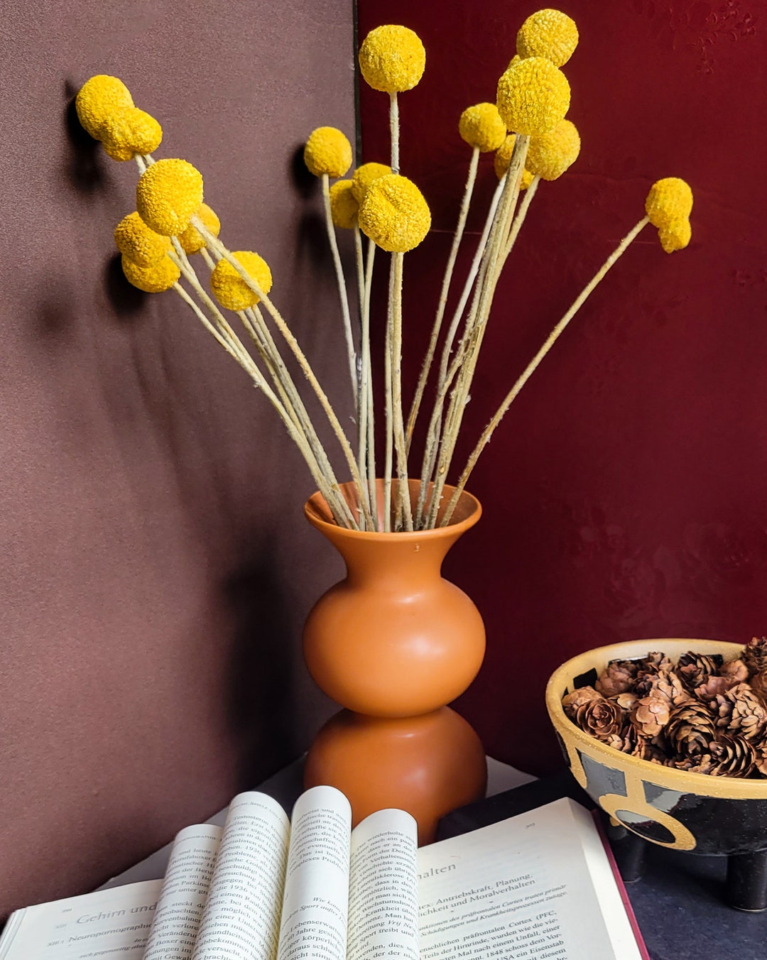 Dried Real Natural Billy Balls Preserved Flowers Farmhouse - Etsy