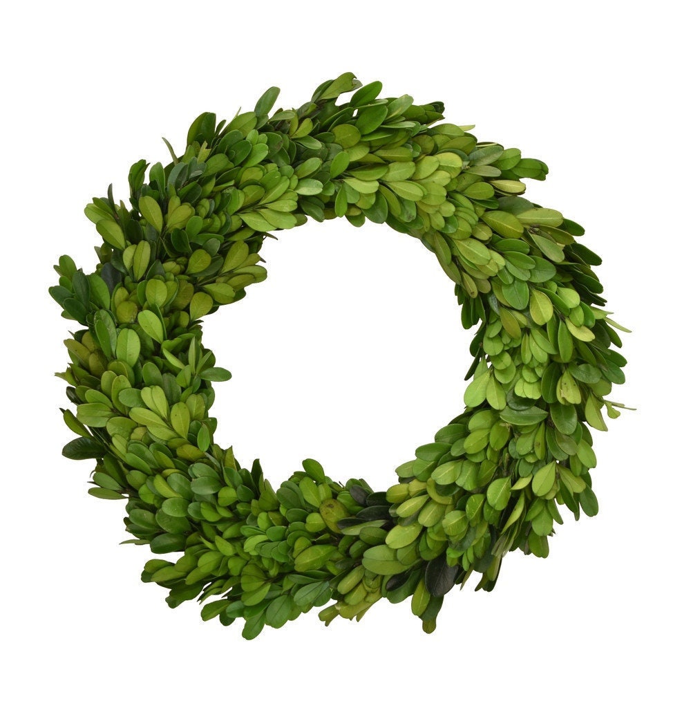 Preserved Boxwood Wreath - Timeless Greenery for Door, Mantle, or ...