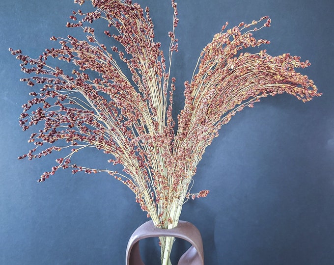 Broom Corn Red or Black Dried Plants Natural Decorations - Etsy
