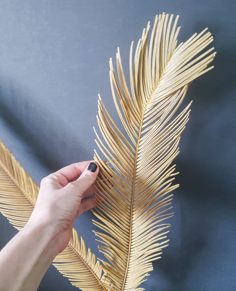 Dried Palm Leaves Dried Palms Dried Palm Stems Preserved - Etsy