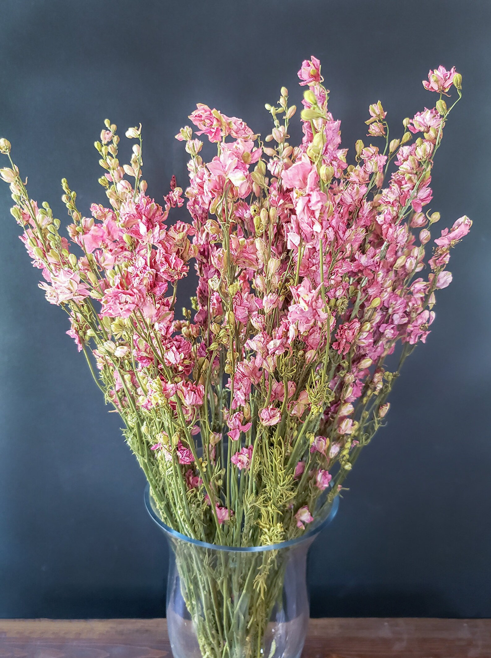 Dried Pink Larkspur Bundle of Larkspur Pink Dried Flowers - Etsy