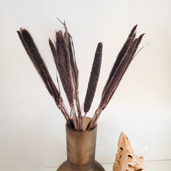Ornamental Grass - Etsy