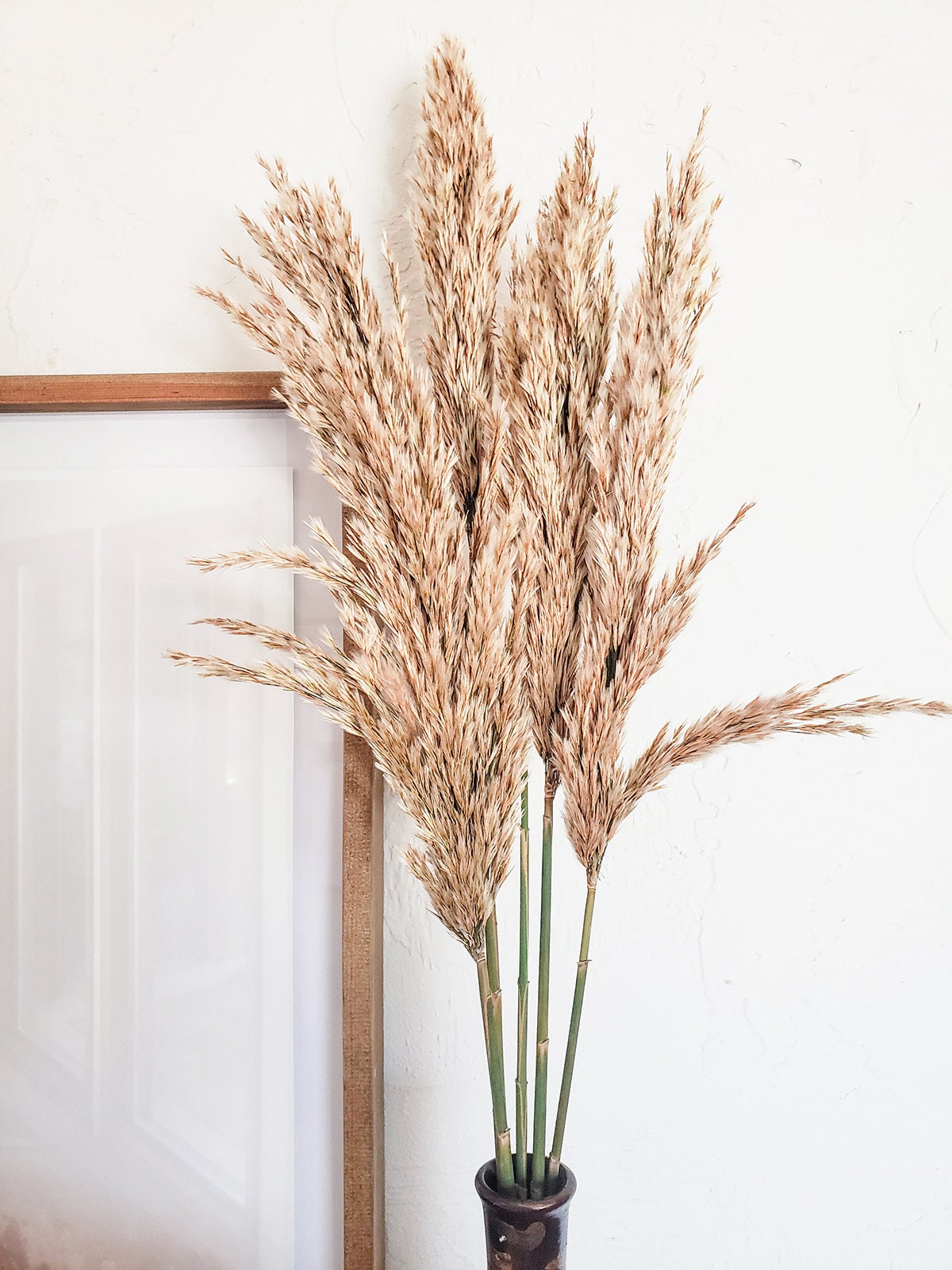 Natural Plume Reed Natural Dried Grass Dried Flowers Dry - Etsy