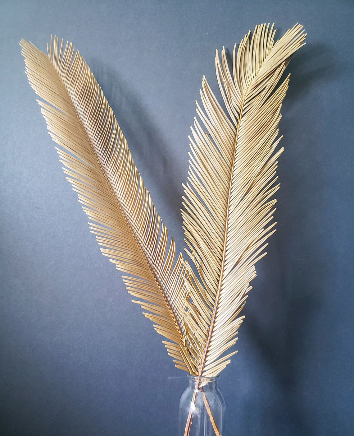 Dried Palm Leaves Dried Palms Dried Palm Stems Preserved - Etsy