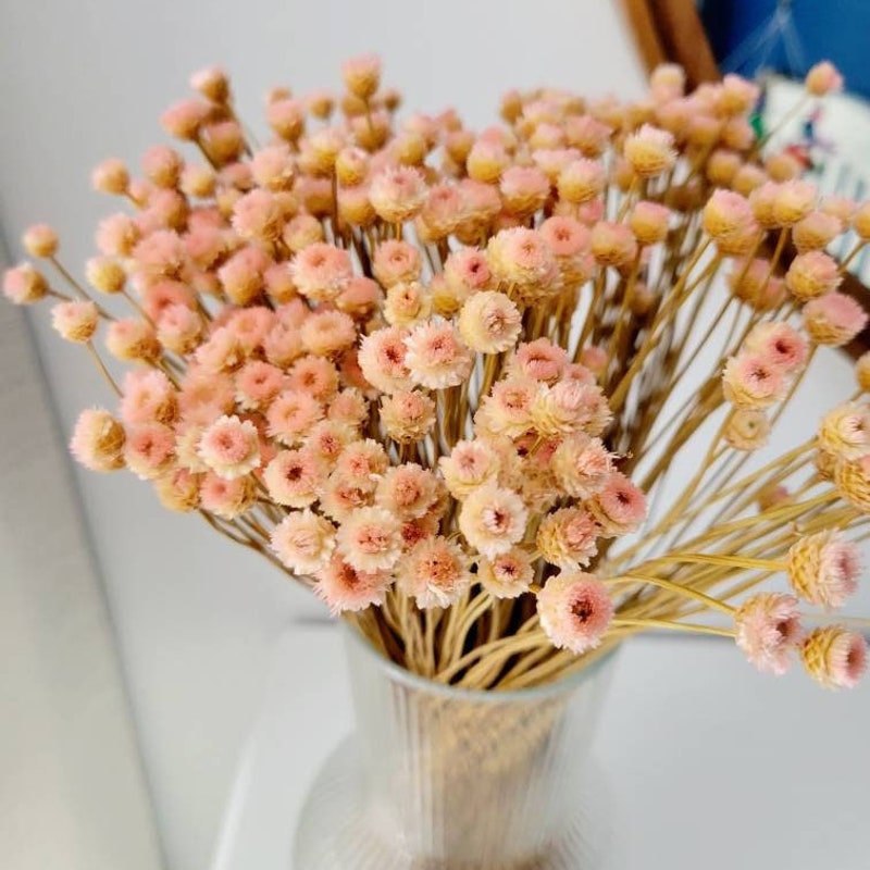 Happy Flower - Etsy