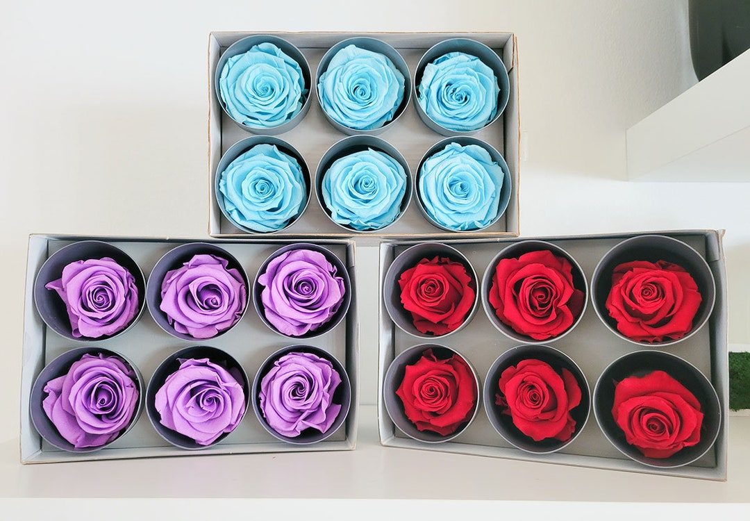 Preserved Rose Heads 15 Colors Six Pack Floral Arrangement DIY Bouquet ...