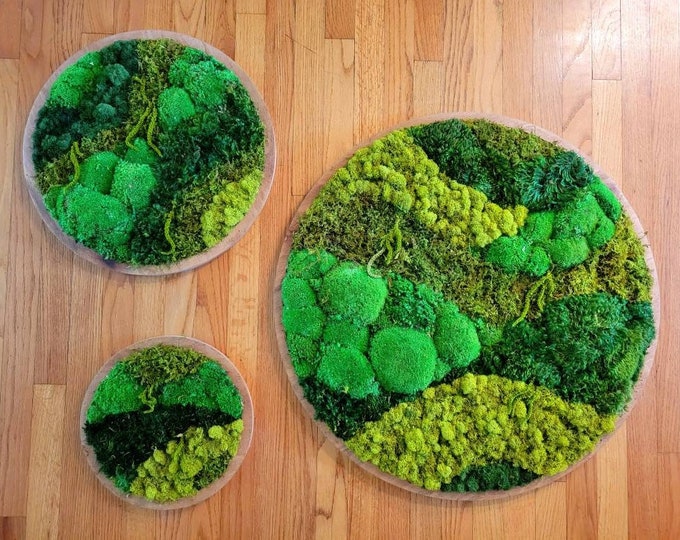 Custom Moss Frames in a Circle Shape | Moss Art | Moss Decor ...