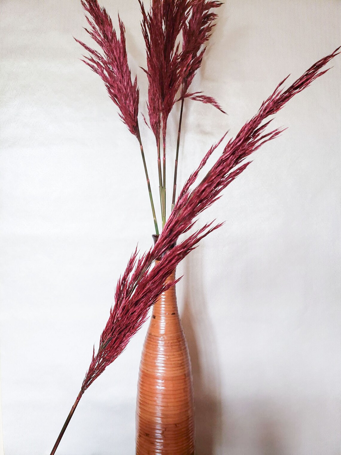 Dried Plume Reed Merlot Natural Botanical Ornamental Grass - Etsy