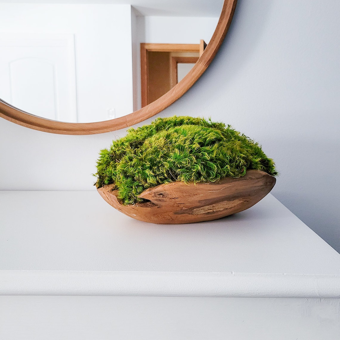 Preserved Moss Bowl Centerpiece – Natural Wood, Modern Home Decor - Etsy