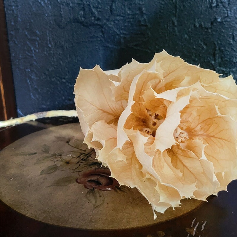 Pressed Tropical Flowers - Etsy