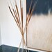 Dried Cattails Natural Cattails Cottage Decor Craft Supplies 25 Cattail ...