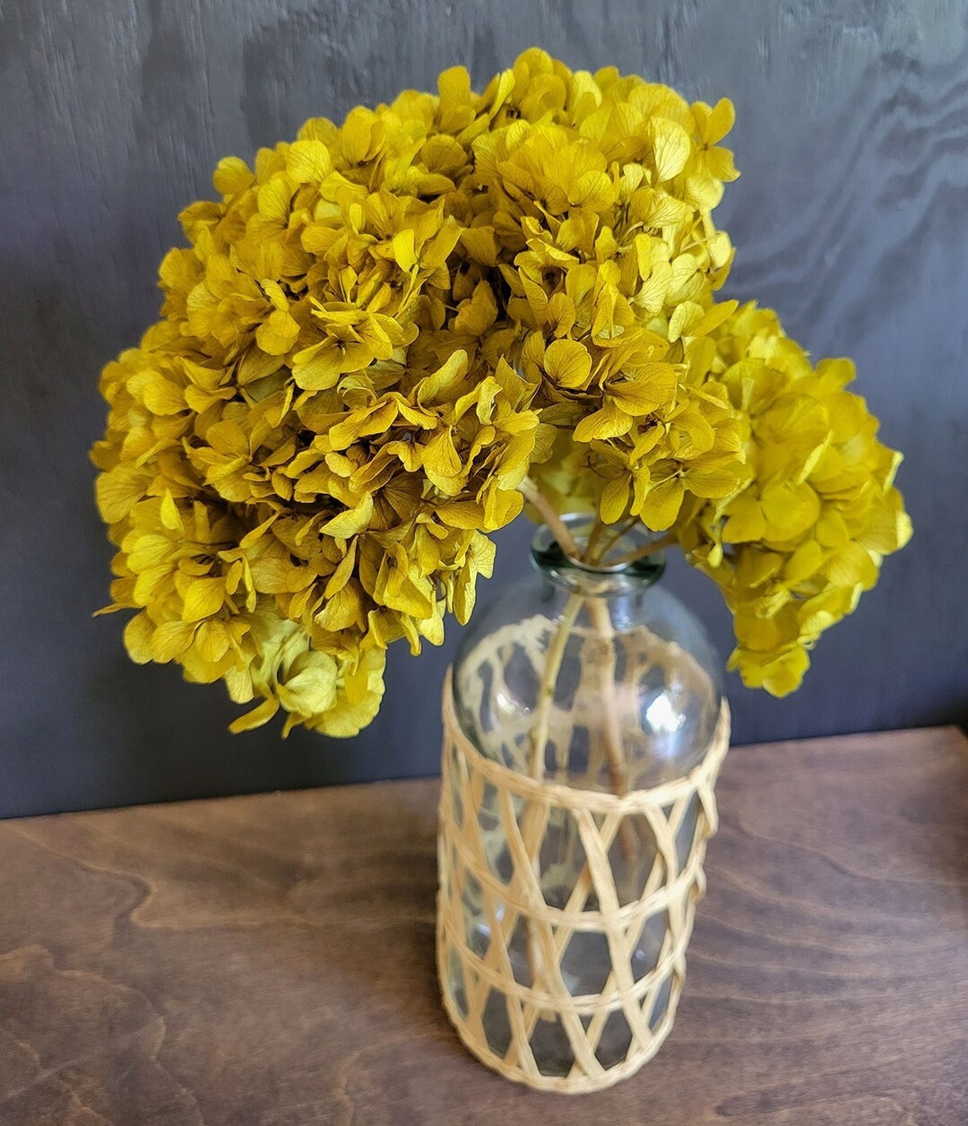 Preserved Antique Moss Hydrangeas – 2 Jumbo Stems (together Over ~15 ...