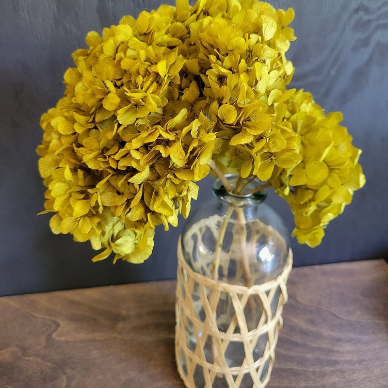 Preserved Hydrangea - Etsy