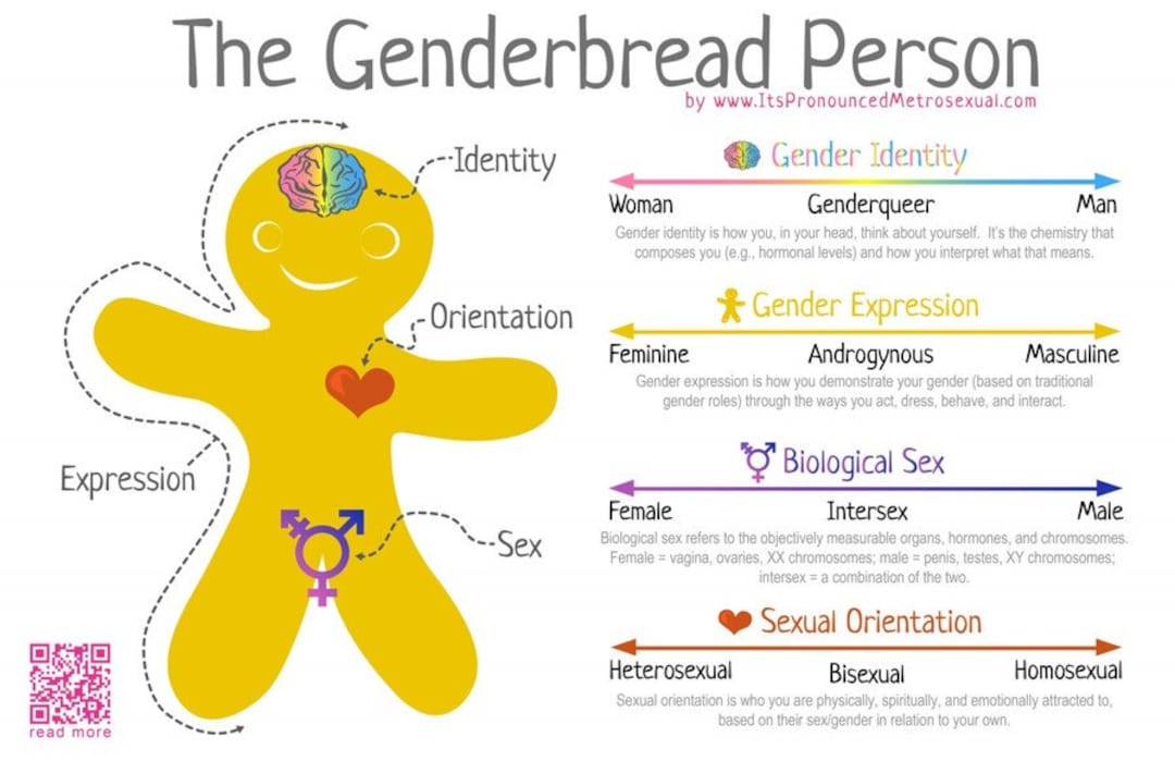 Psychoeducation Lesson Plan Gender and Sexual Identity - Etsy