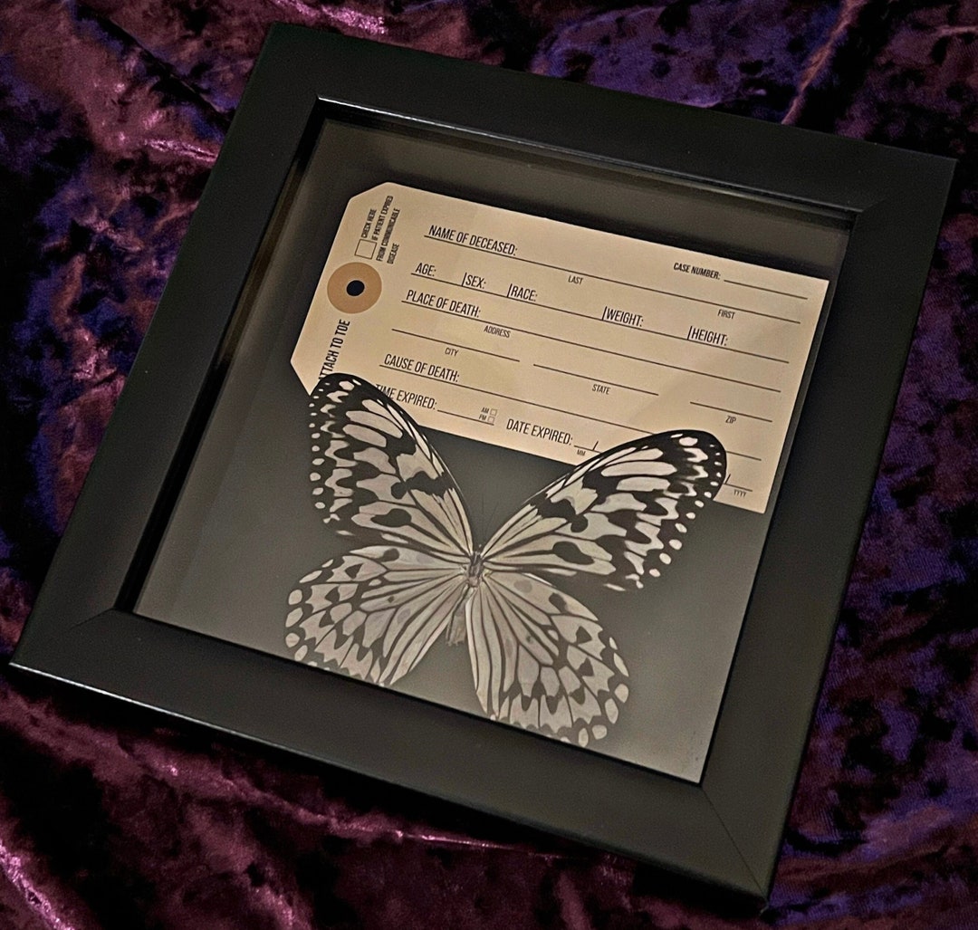Black and White Butterfly Toe Tag Mortuary Framed Oddity - Etsy