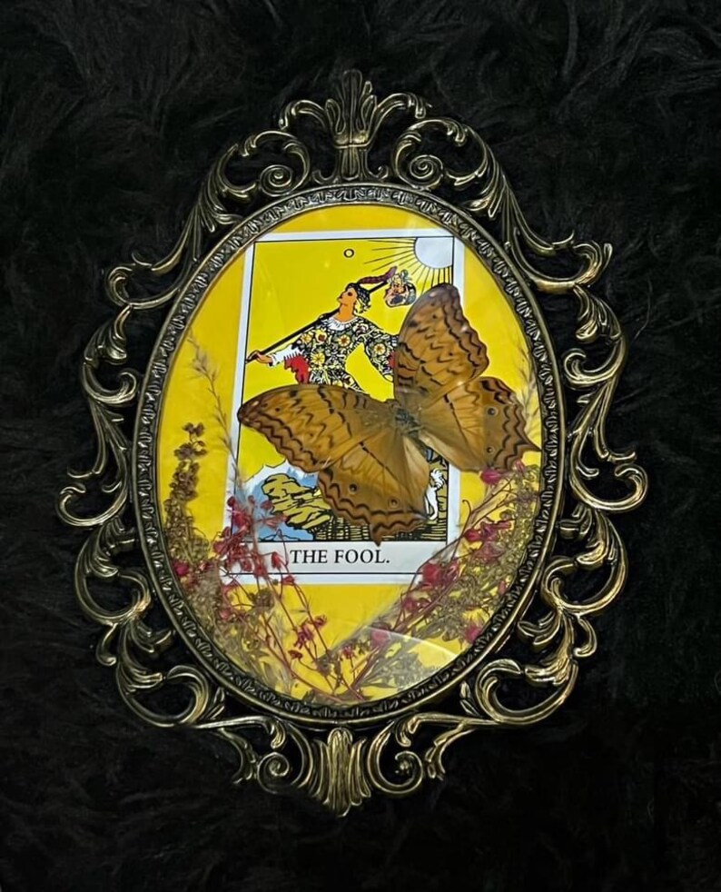 The Fool Tarot Card Butterfly Oddity / Antique Style Ornate Frame - Etsy