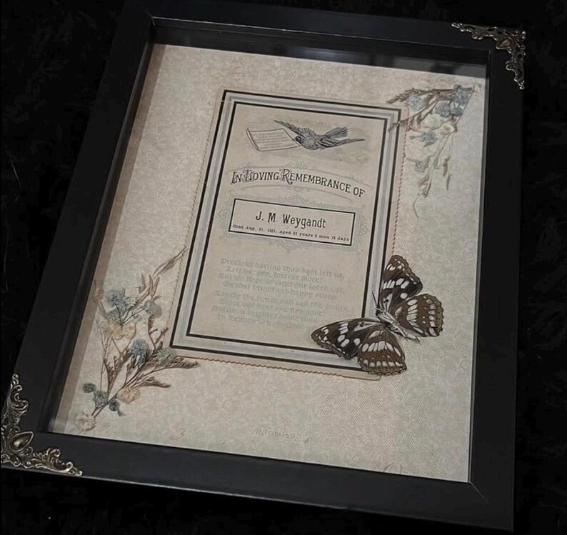 Victorian Funeral Mourning Card Butterfly Oddity - Etsy
