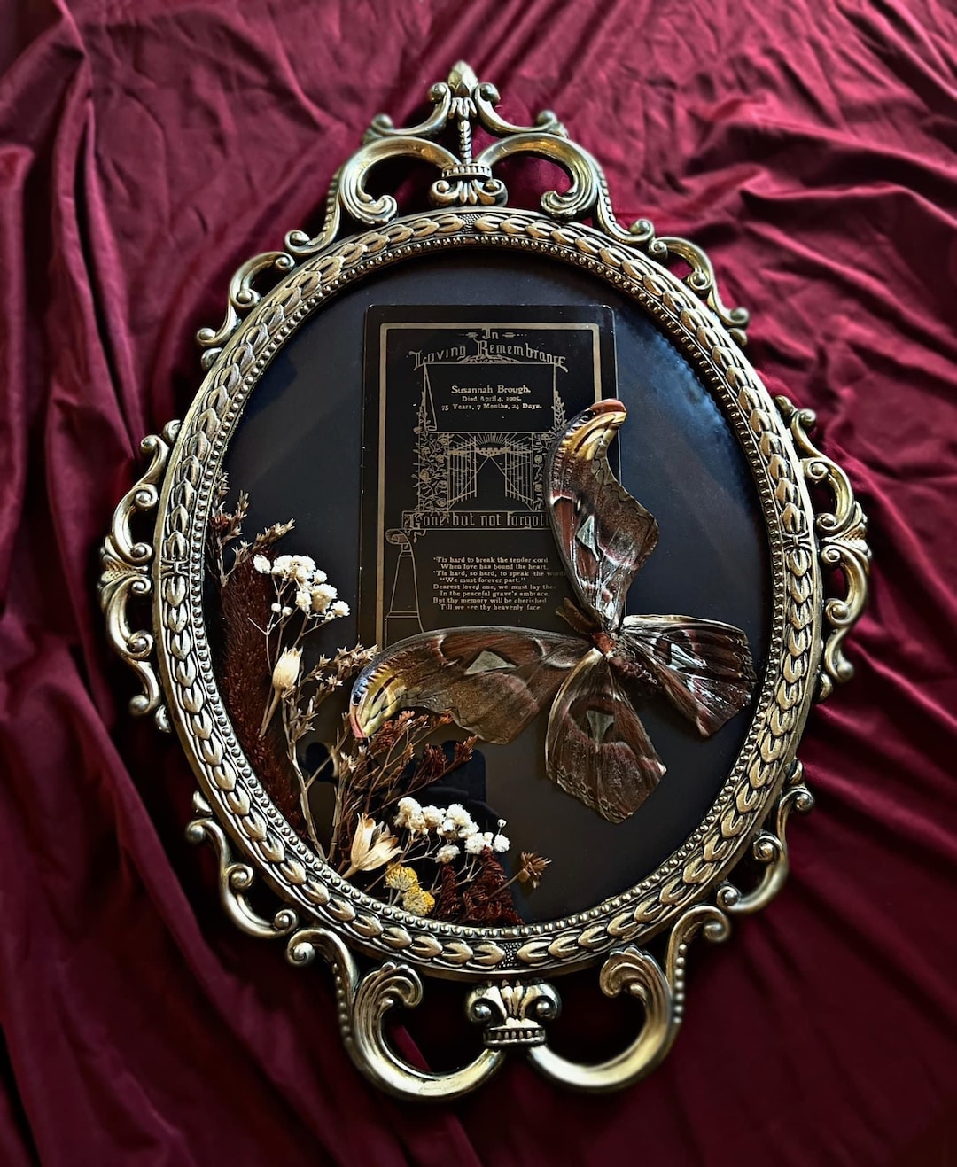 Antique Victorian Funeral Card With Atlas Moth Oddity - Etsy