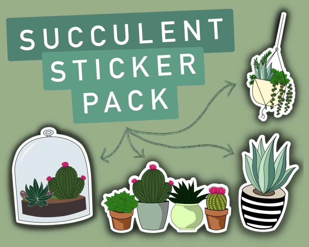 Succulent Vinyl Sticker Pack | 4 Pcs | Stickers for Hydroflask | Laptop ...
