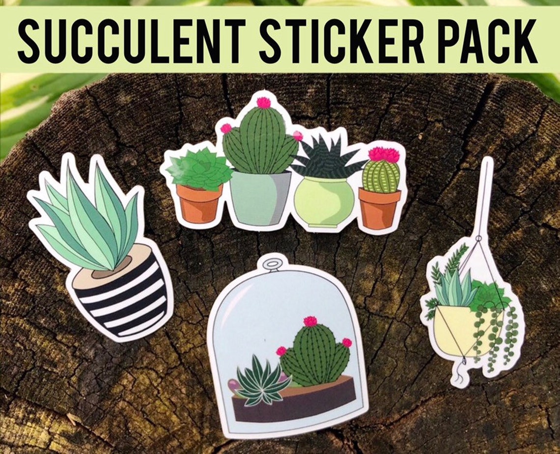 Succulent Vinyl Sticker Pack 4 Pcs Stickers for Hydroflask - Etsy