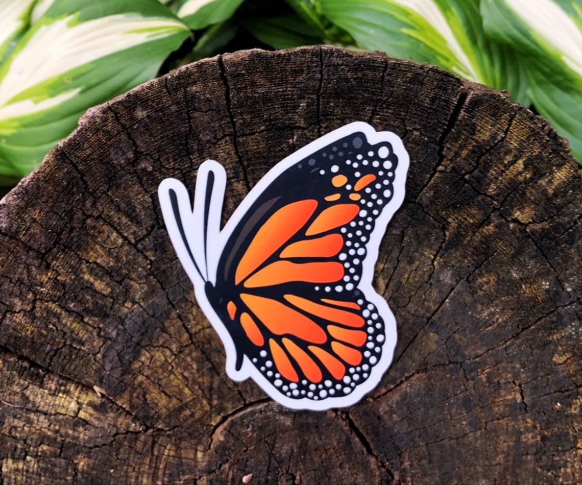 Butterfly Vinyl Sticker Stickers for Hydroflask Laptop | Etsy