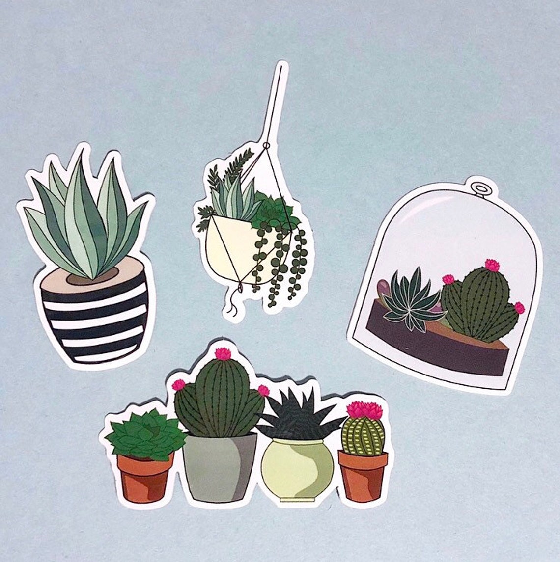 Succulent Vinyl Sticker Pack 4 Pcs Stickers for Hydroflask | Etsy