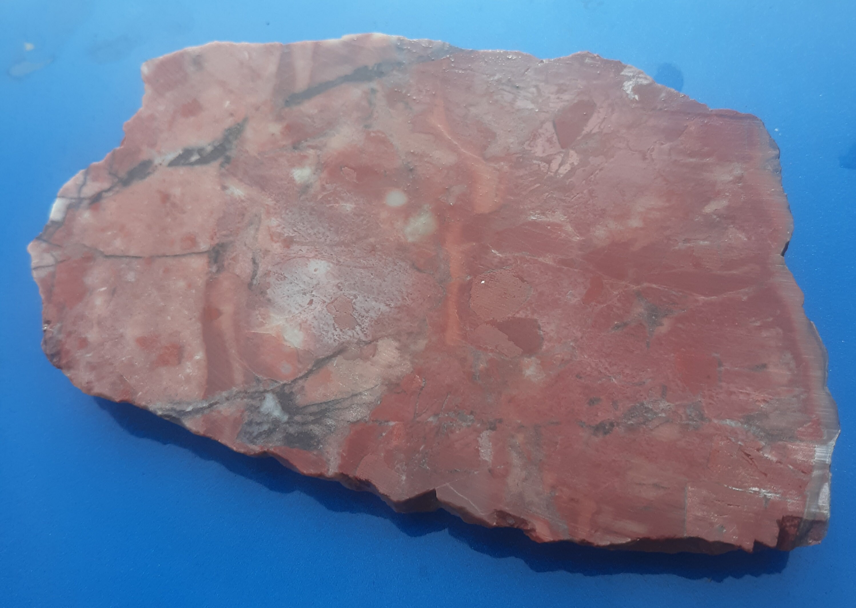 Kona Dolomite Slab - Etsy