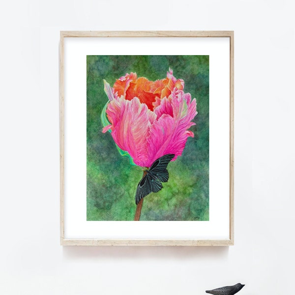 Pink Parrot Tulips - Etsy